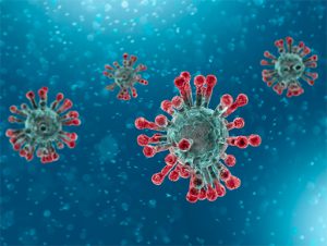 Virus hewan menyerang manusia? Begini proses dan penyebabnya! – EGC MedBlog