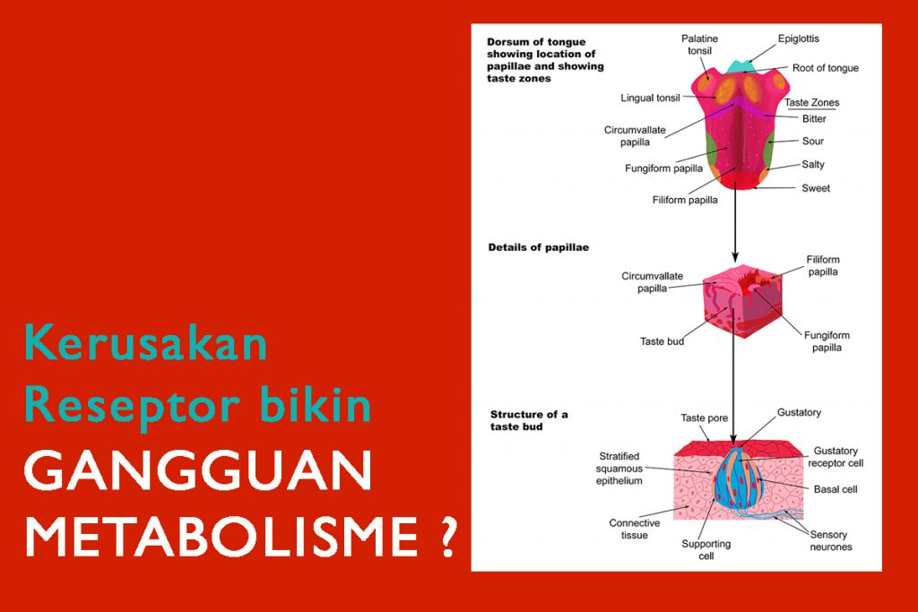 Rusaknya reseptor pengecap/rasa di lidah terkait dengan gangguan ...